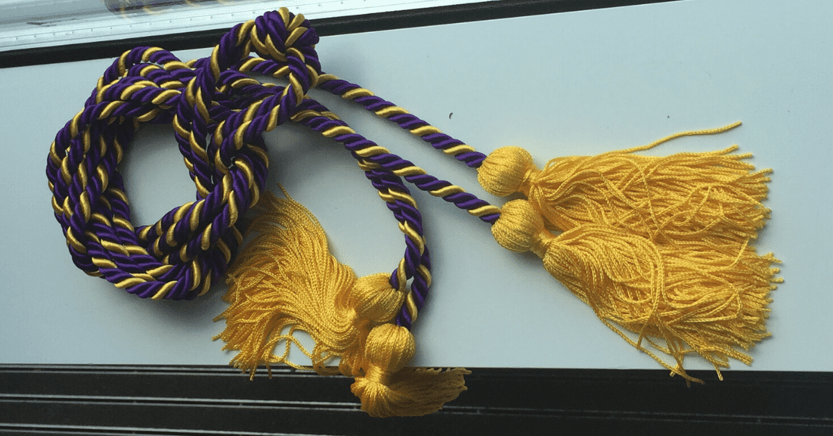 NHS vs. NSHSS: Which Is Right For Your Child?